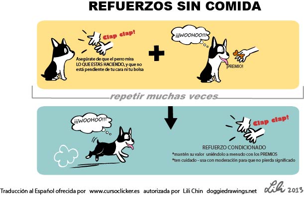 NOTAS SOBRE CONDICIONAMIENTO CLÁSICO O RESPONDIENTE, LILI CHIN